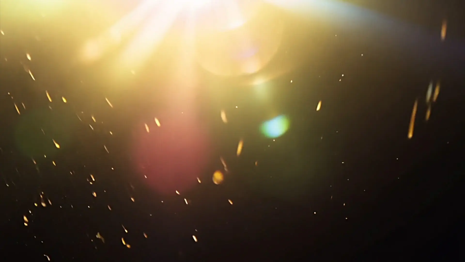 Free Sun Flare Stock Videos & Footage Downloads